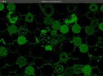 【Python・OpenCV】輪郭を描画する(cv2.drawContours) - codevace
